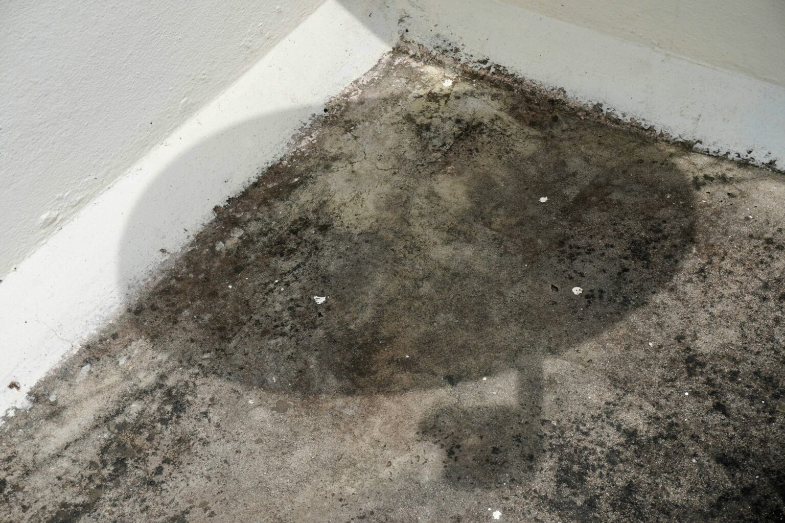 Troubleshooting: High Water Bill With No Visible Leak Issues – Delta ...